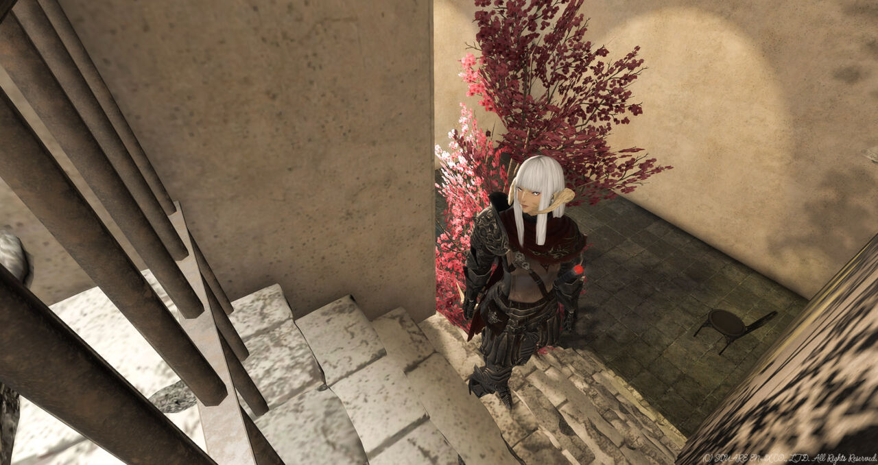 studioFw ｜コンクリートの箱庭 | StudioXIV