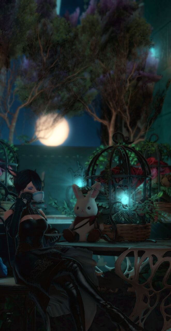 久遠の逍遥 4rd | StudioXIV