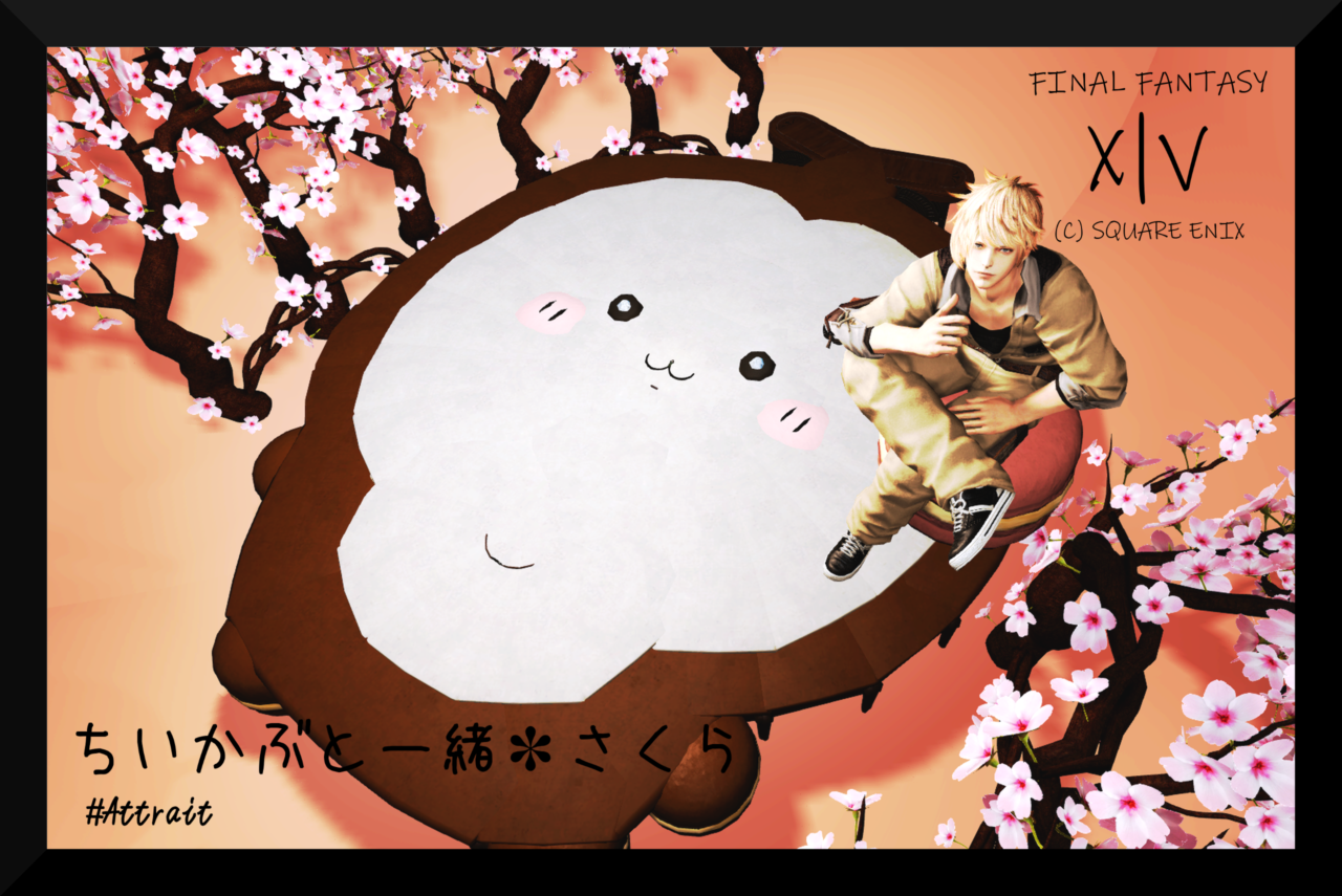 ちいかぶと一緒 さくら -Attrait- | StudioXIV