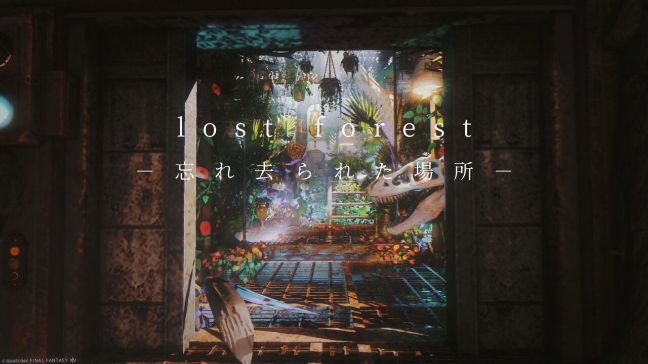 lost forest － | StudioXIV