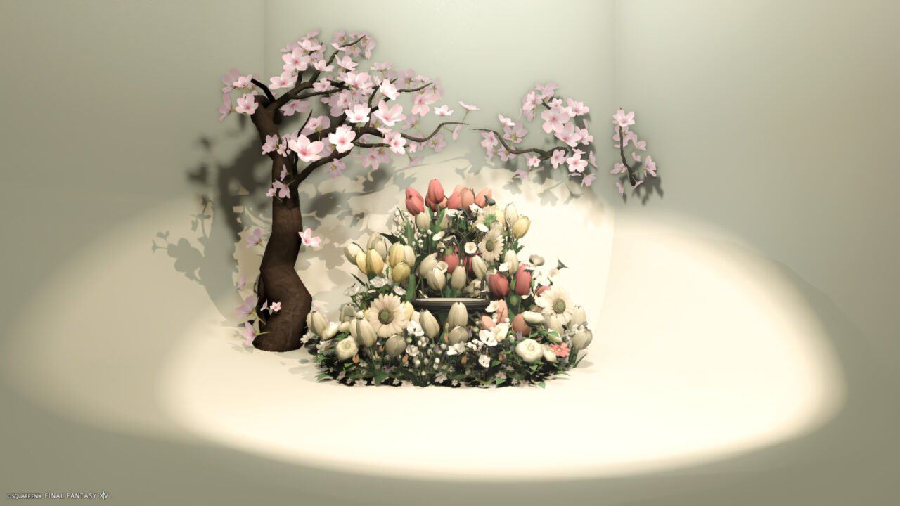 HISOKA - HARU- | StudioXIV