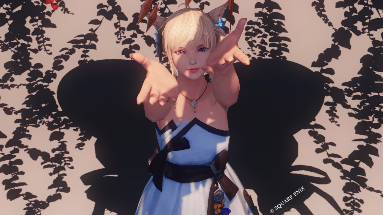 Studio Haku 『長春花』 | StudioXIV