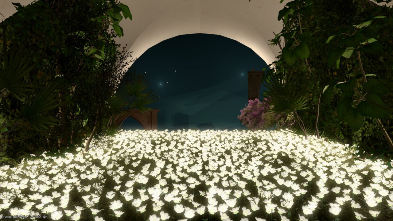 Night sky | StudioXIV