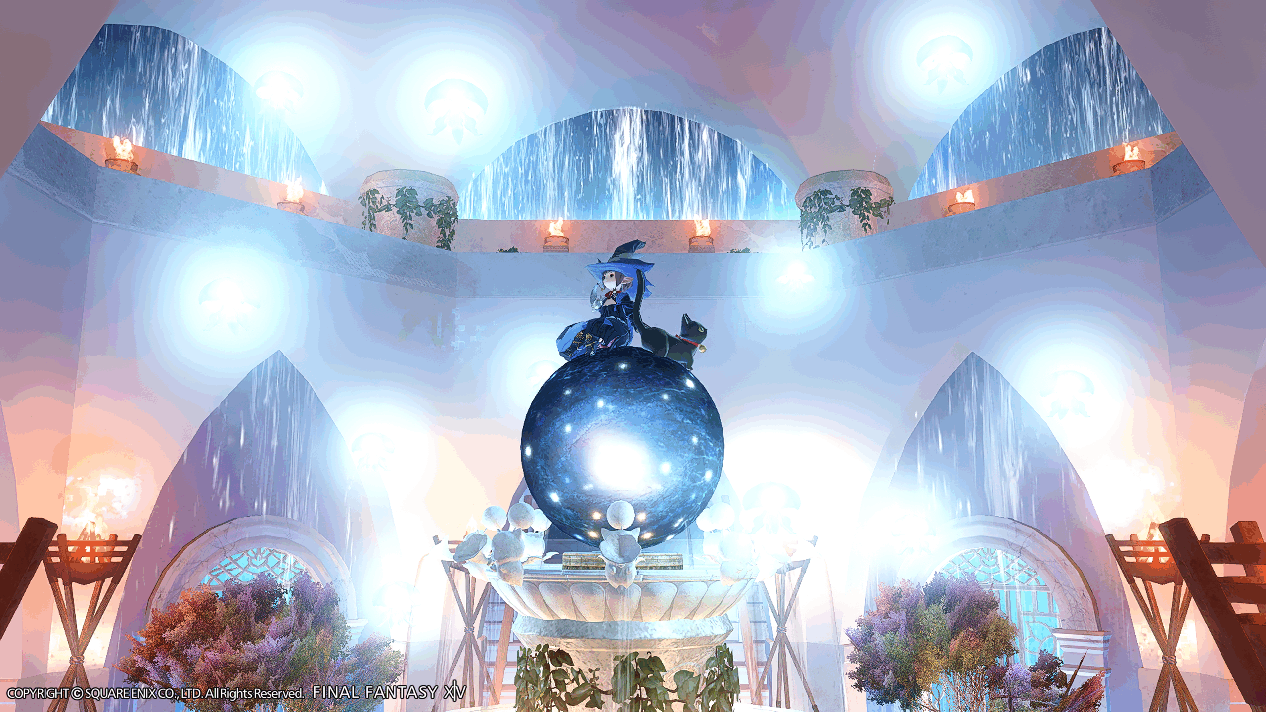 Wish🌟 | StudioXIV