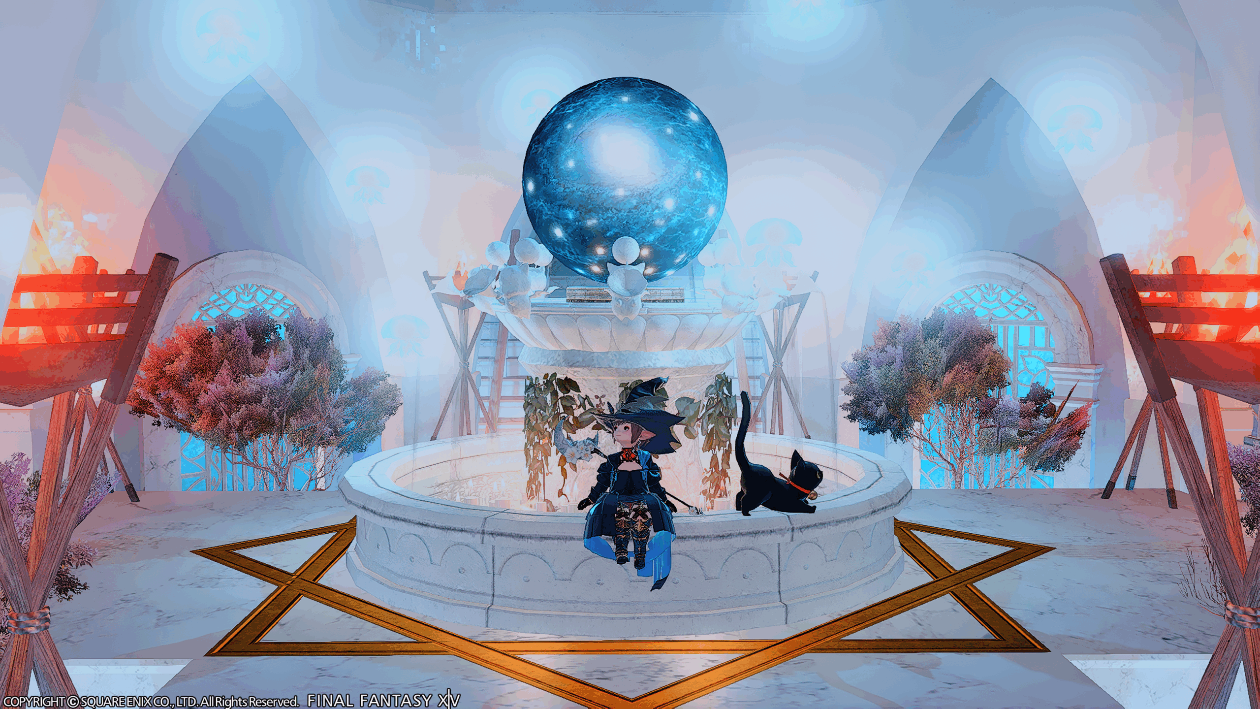 Wish🌟 | StudioXIV